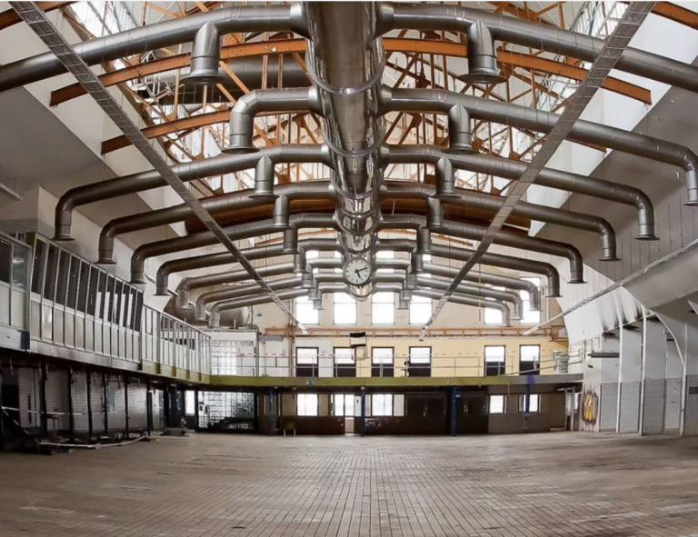 Atlas Pest & Wildlife Control | Pest Control Surrey, BC